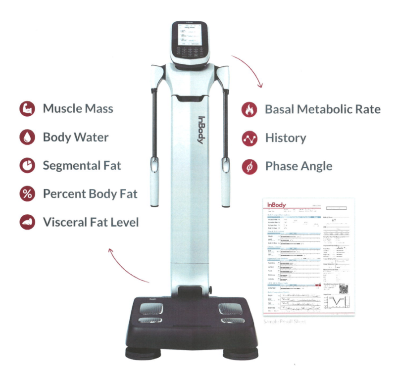 Body Composition Analysis - Liberty MD